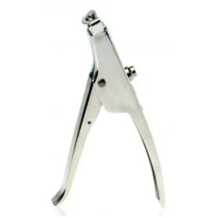 DentalStores.in: Buy Dental Products Online at Best Price