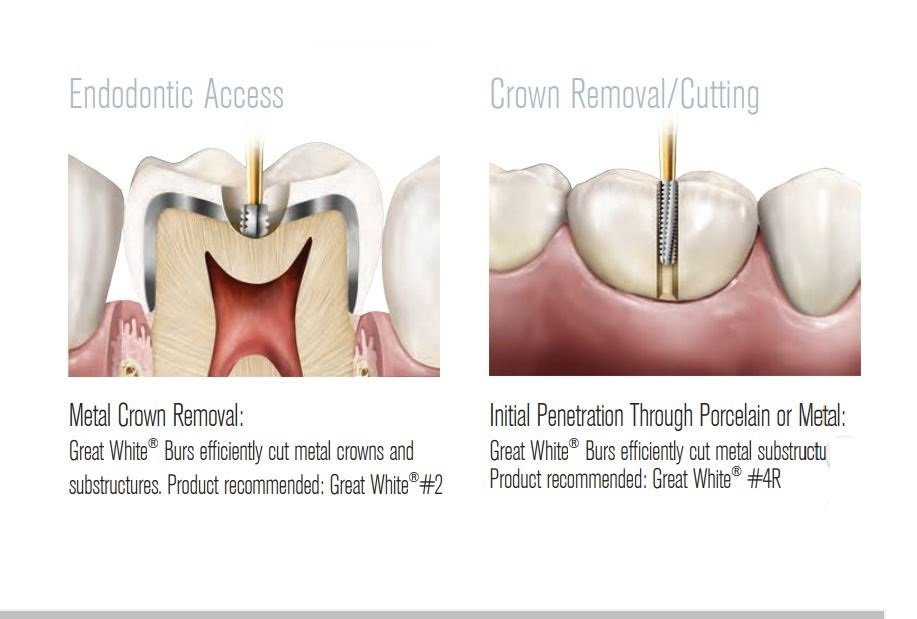 DentalStores.in: Buy Dental Products Online at Best Price